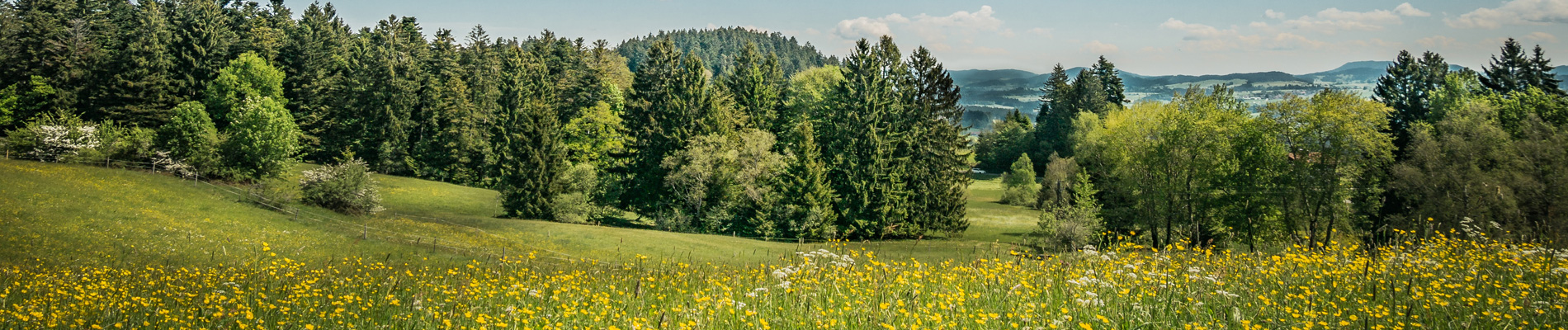 Legacy One Realty - Greenfield Ohio Real Estate