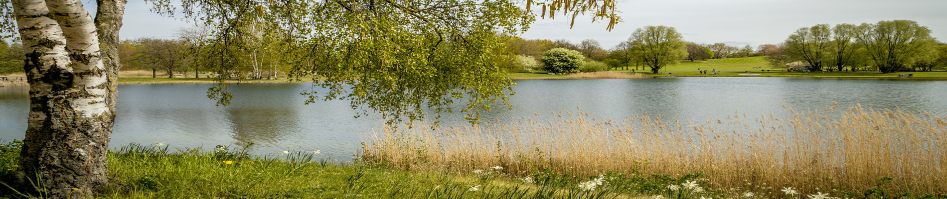 Legacy One Realty - Greenfield Ohio Real Estate